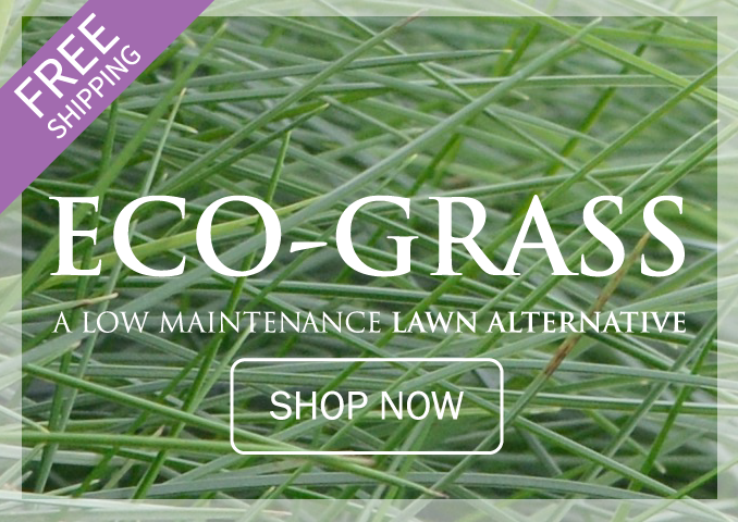 Prairie Moon Nursery