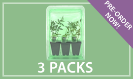 Plants | Prairie Moon Nursery