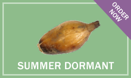 Plants | Prairie Moon Nursery