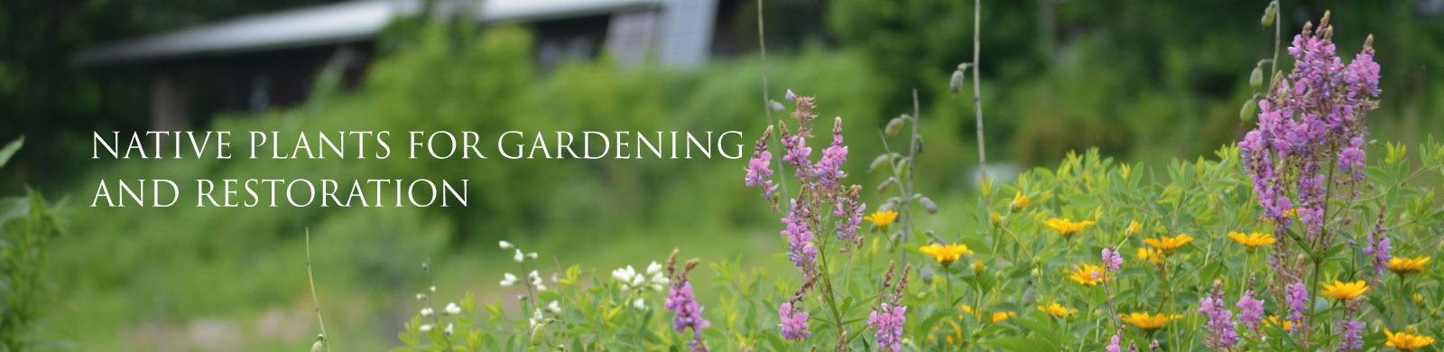 Prairie Moon Nursery