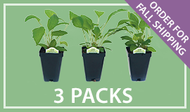 Plants | Prairie Moon Nursery