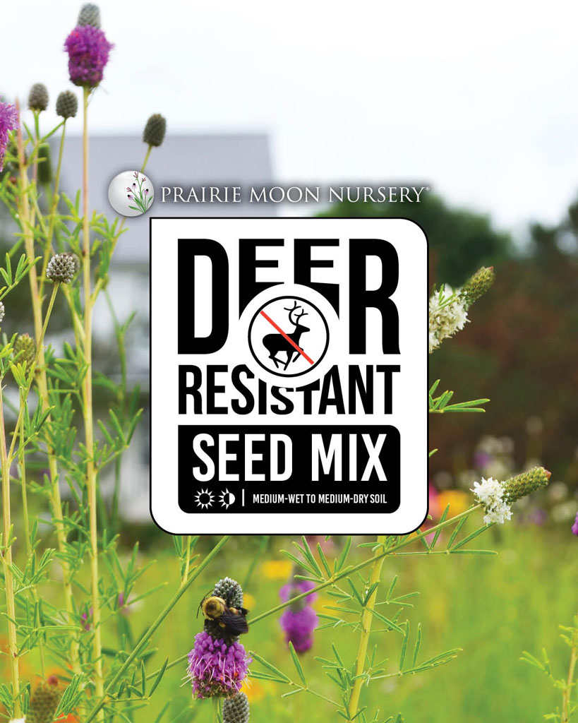 Deer Resistant Seed Mix | Prairie Moon Nursery