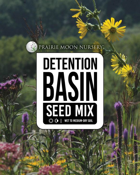 Detention Basin Seed Mix | Prairie Moon Nursery