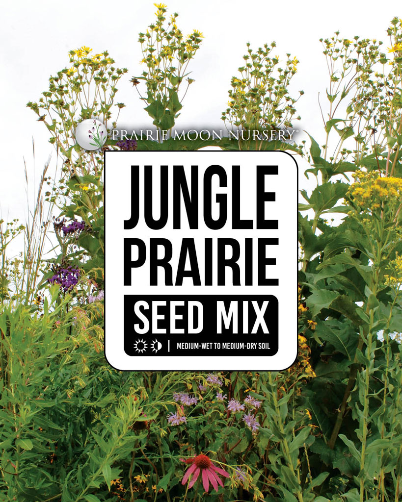 Jungle Prairie Seed Mix | Prairie Moon Nursery
