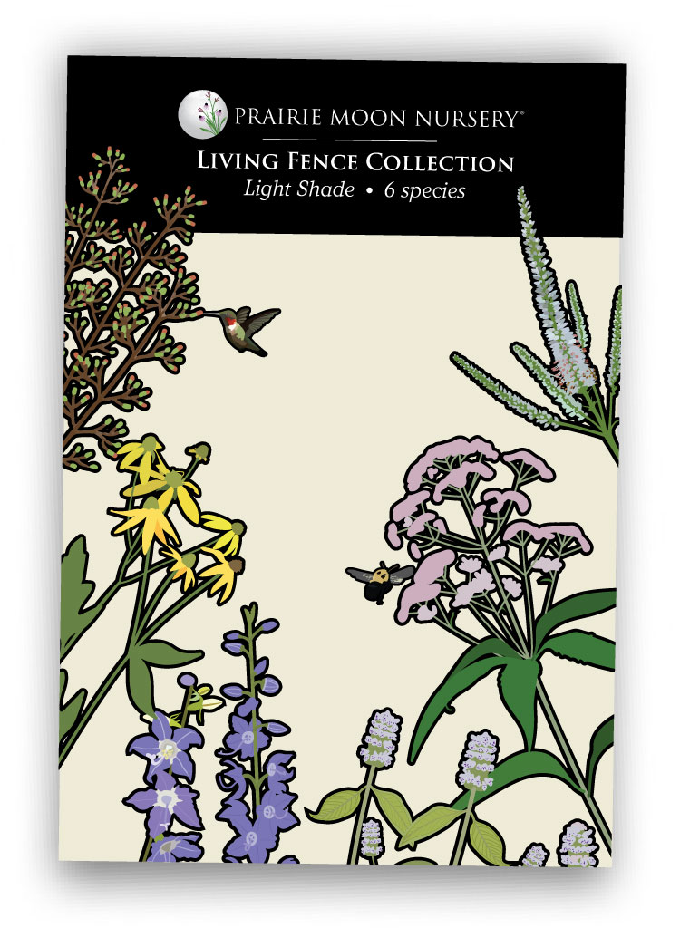 Living Fence Seed Packet Collection - light shade | Prairie Moon Nursery