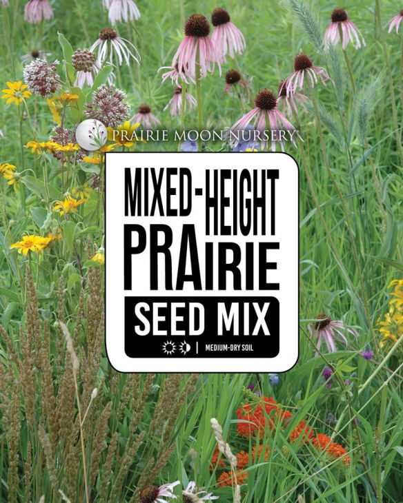 Mixed-Height Prairie Seed Mix | Prairie Moon Nursery