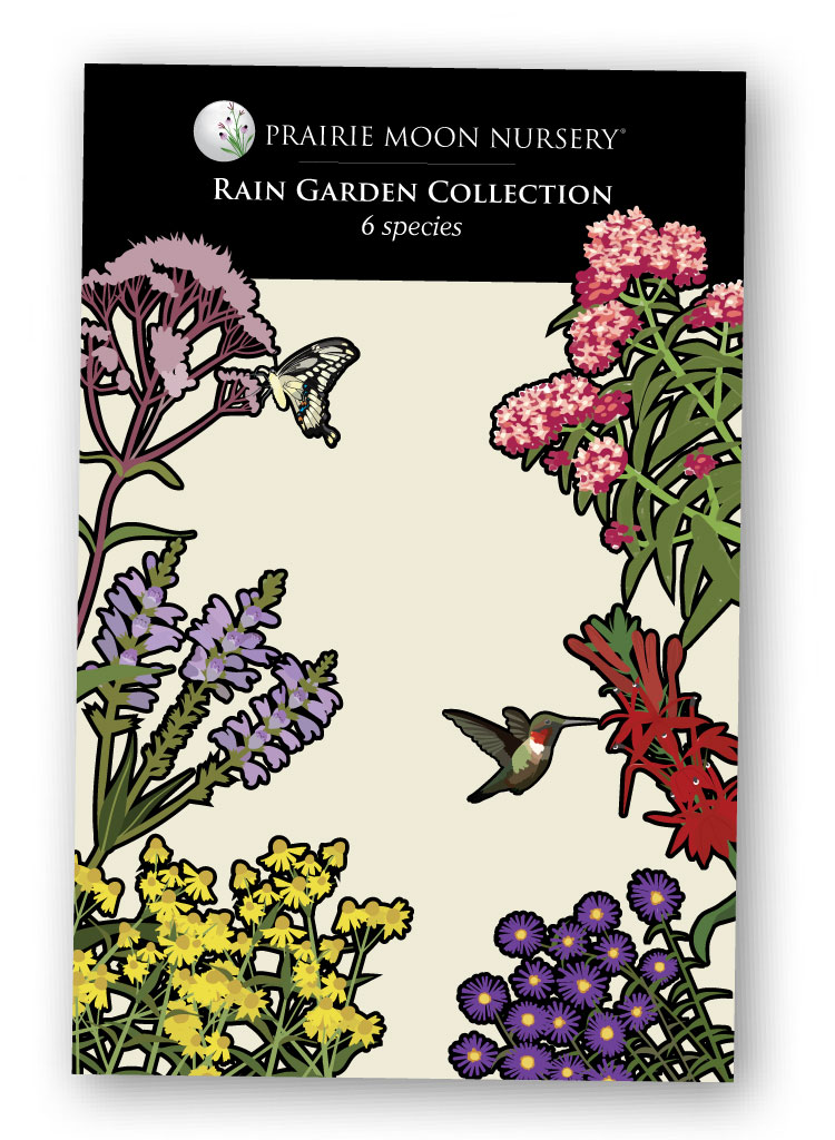Rain Garden Seed Packet Collection | Prairie Moon Nursery