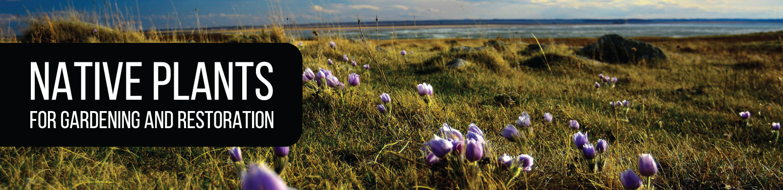 Prairie Moon Nursery
