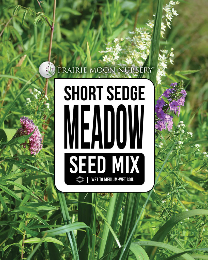 Short Sedge Meadow Seed Mix | Prairie Moon Nursery