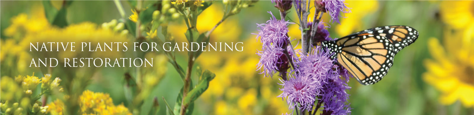 Prairie Moon Nursery