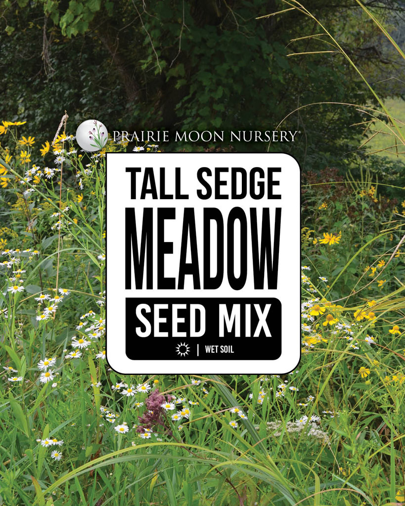 Tall Sedge Meadow Seed Mix | Prairie Moon Nursery
