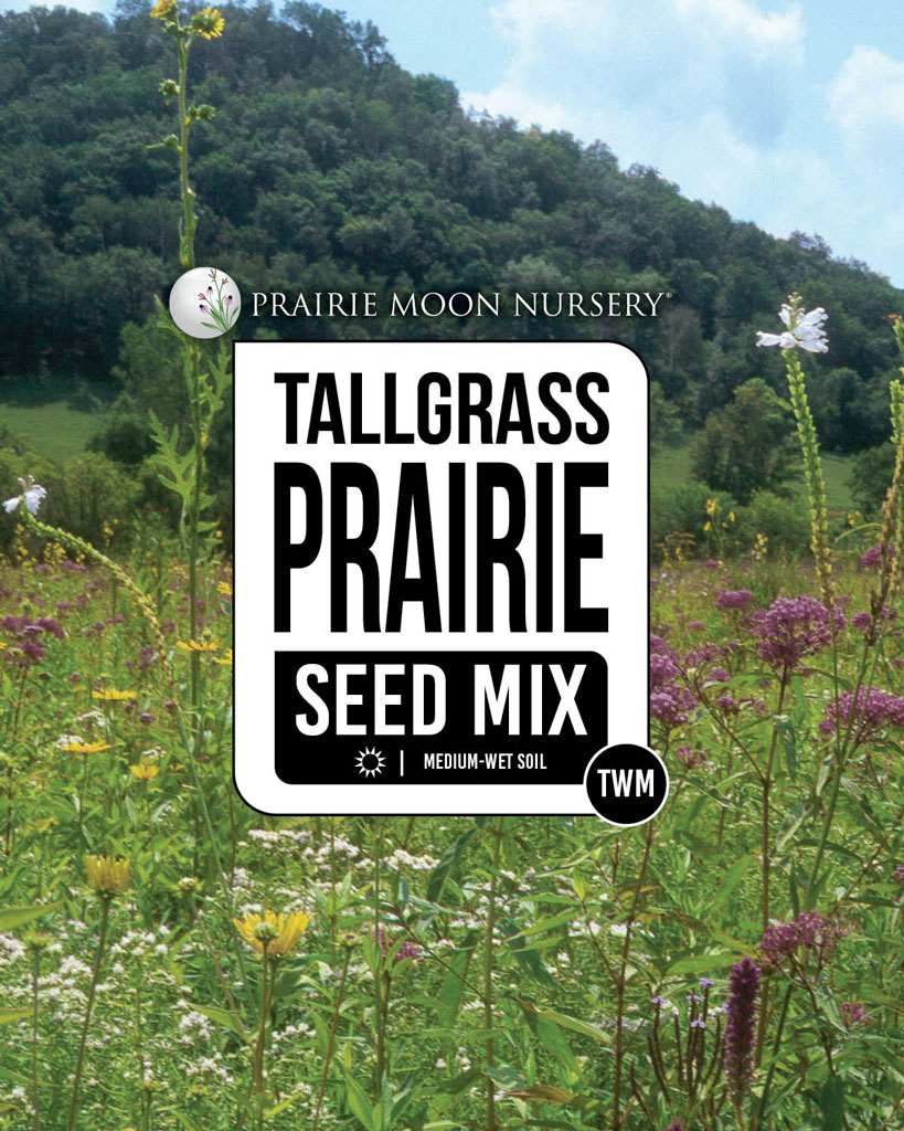 Tallgrass Prairie Native Species