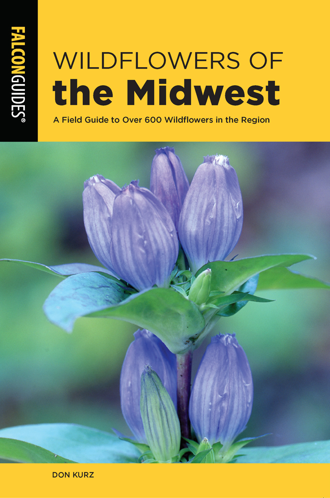 Midwestern Wildflowers | Best Flower Site