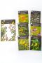 Bird Benefit Seed Packet Collection | Prairie Moon Nursery