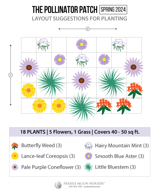 Pollinator Patch Garden Kit | Prairie Moon Nursery
