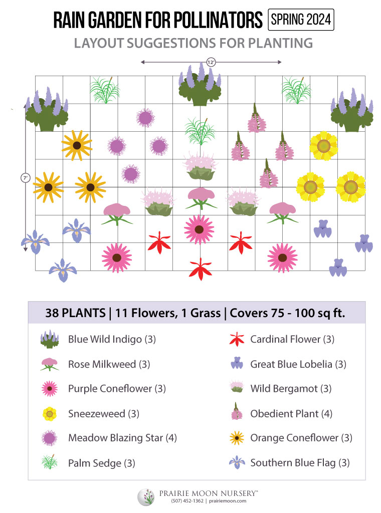Rain Garden for Pollinators Kit | Prairie Moon Nursery