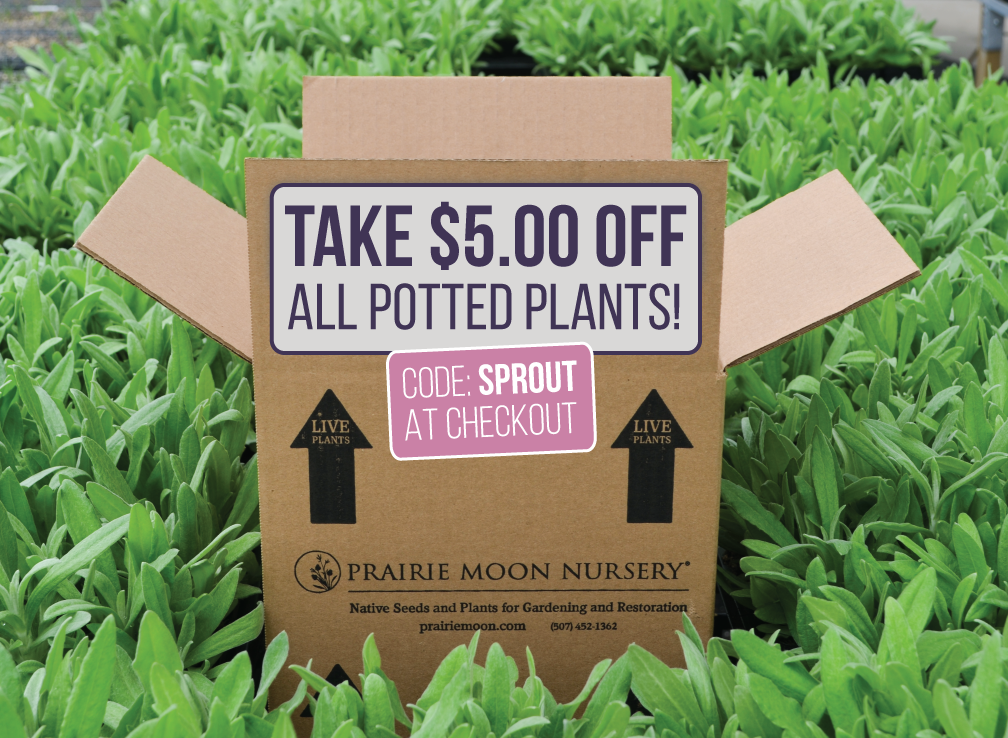 Prairie Moon Nursery: Storefront