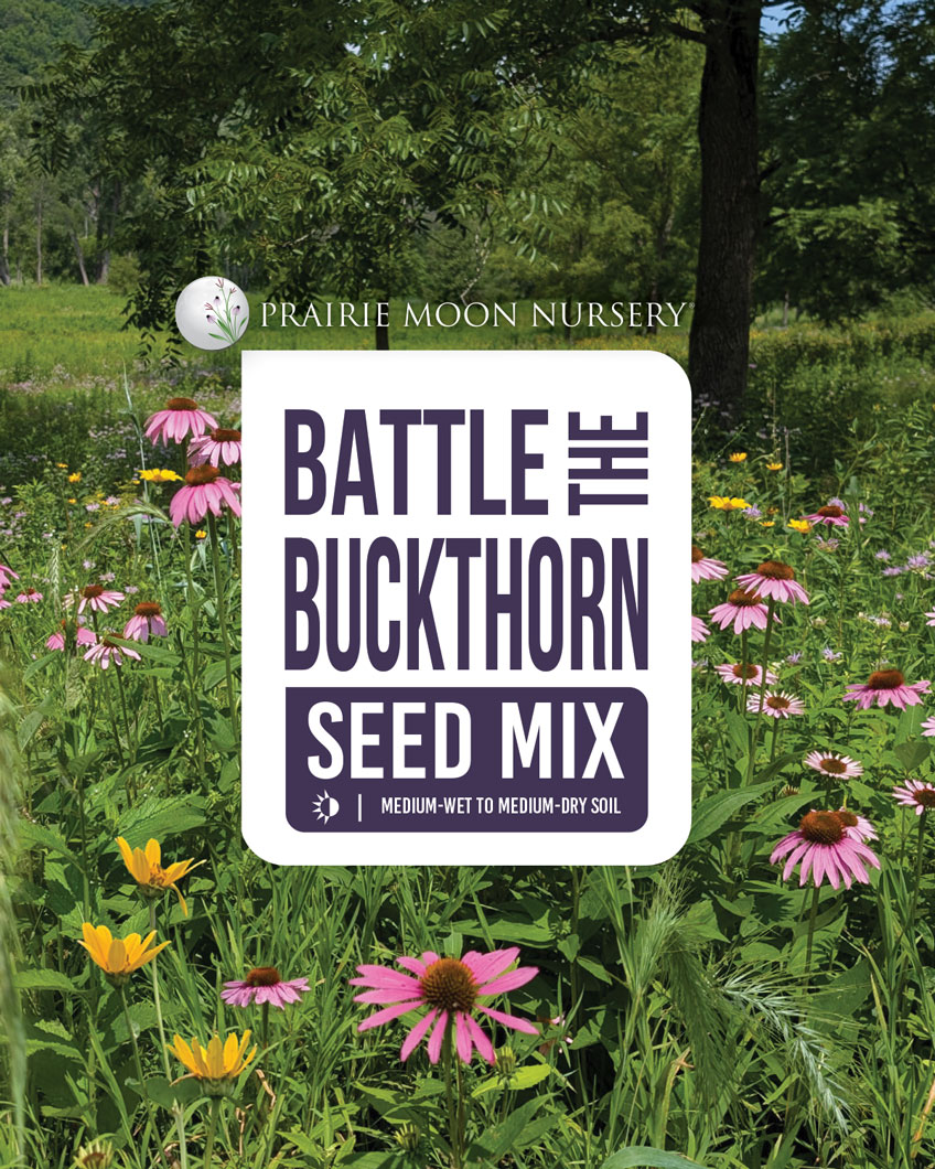 Battle the Buckthorn - Understory Revegetation Seed Mix | Prairie Moon ...