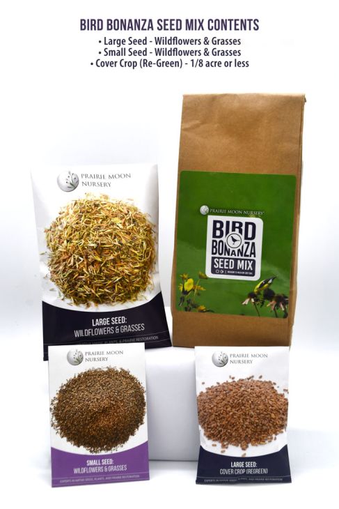 What Seeds are in Bird Seed Mix: Essential Guide to Top Varieties - Birds