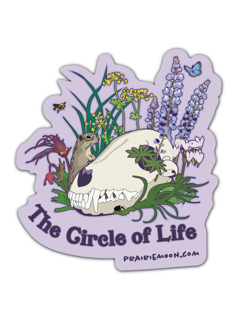 Stickers -The Circle of Life | Prairie Moon Nursery