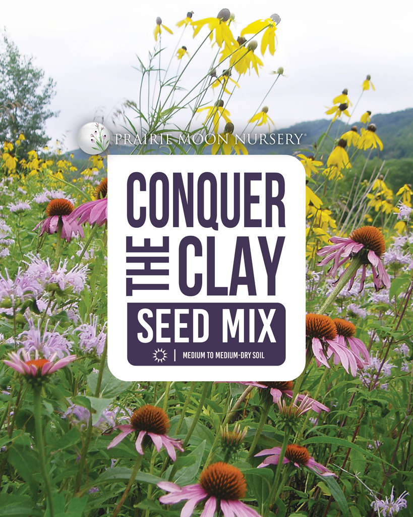 Conquer the Clay Seed Mix | Prairie Moon Nursery