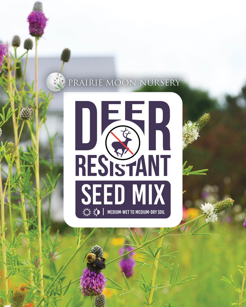 Deer Resistant Seed Mix | Prairie Moon Nursery