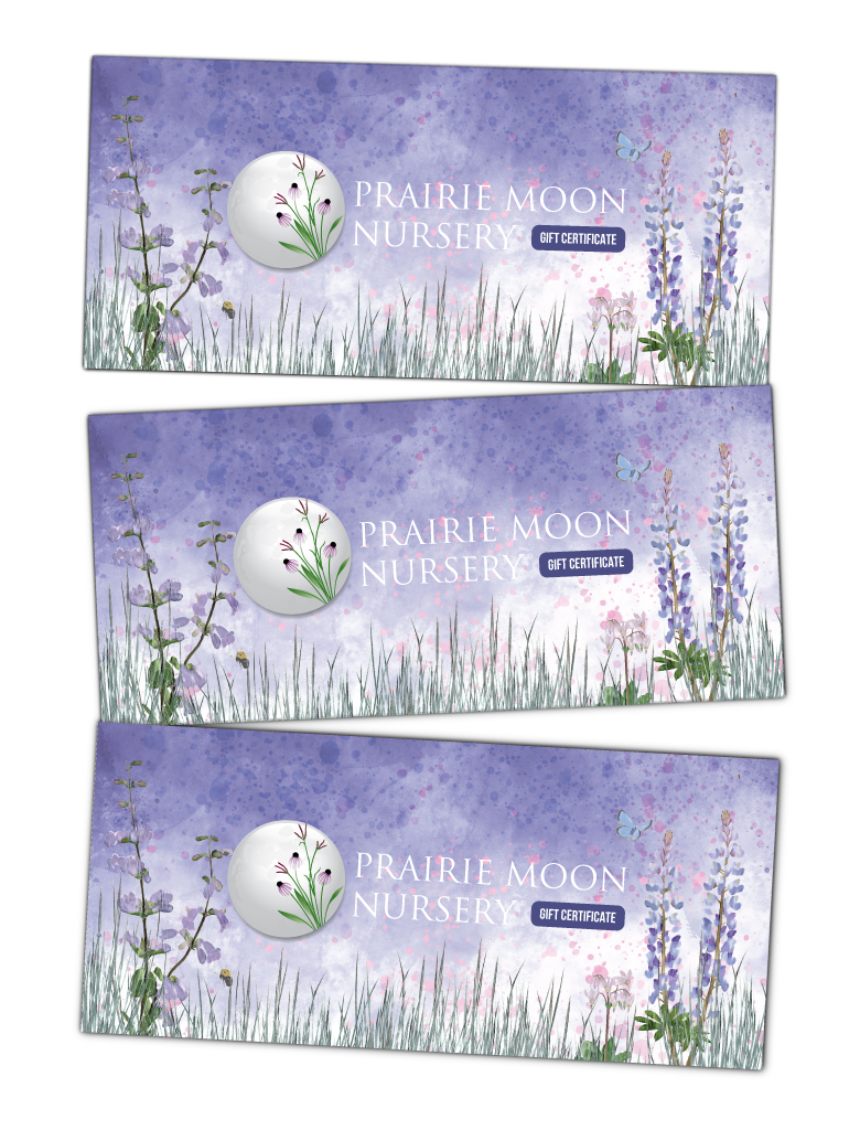 Rebecca Mix and David Loria's Wedding Registry on Zola