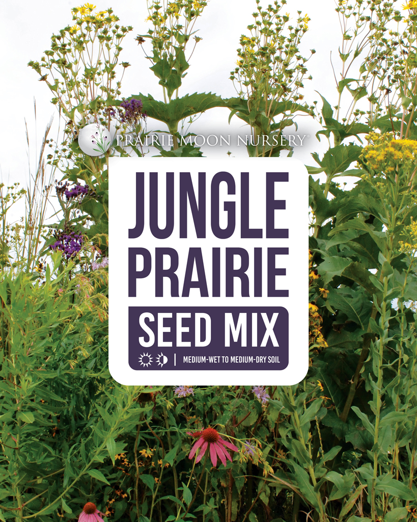 Jungle Prairie Seed Mix | Prairie Moon Nursery