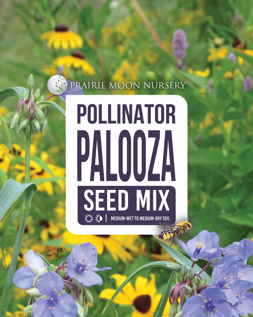 Pollinator-Palooza Prairie Seed Mix | Prairie Moon Nursery