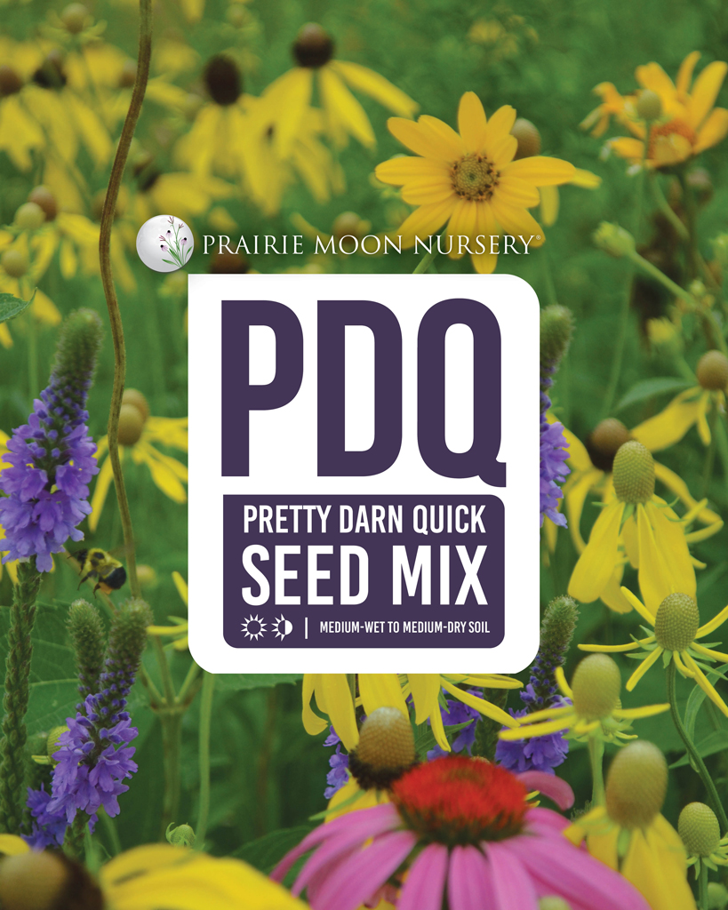 Pretty Darn Quick (PDQ) Prairie Seed Mix | Prairie Moon Nursery
