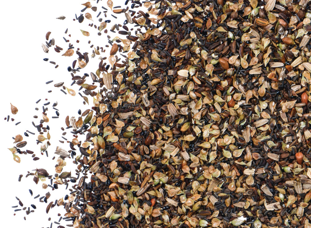 Prairie Moon Nursery: Storefront