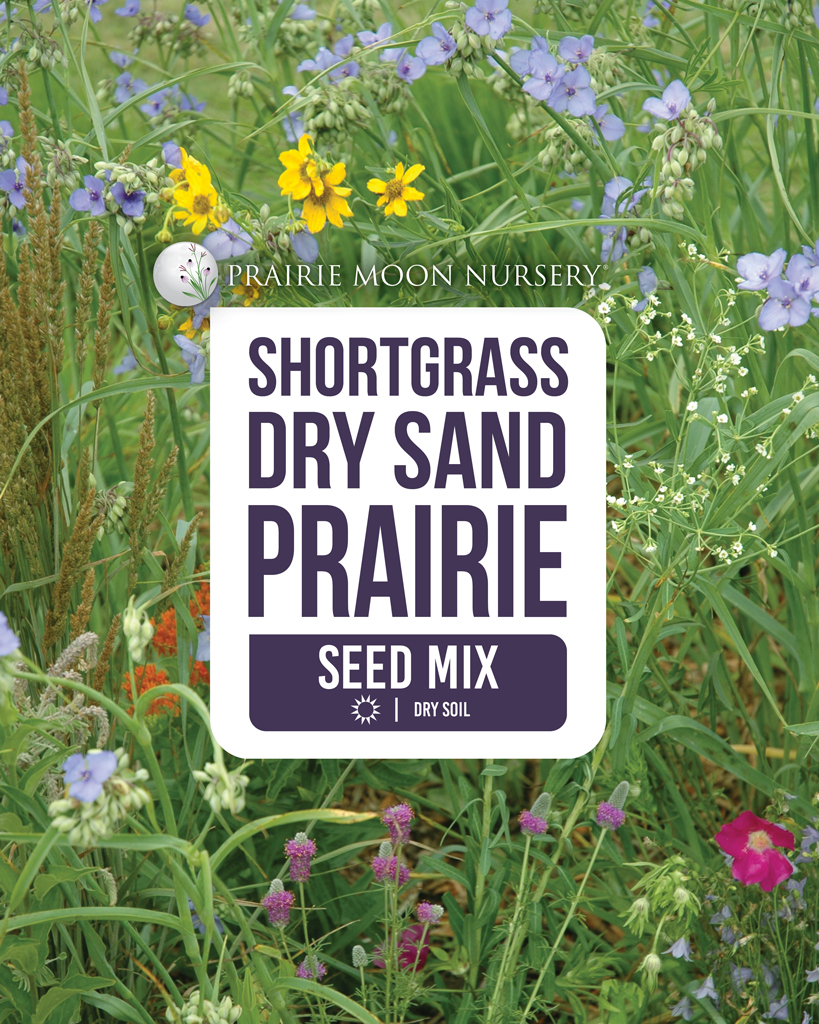 Shortgrass Dry Sand Prairie Seed Mix | Prairie Moon Nursery