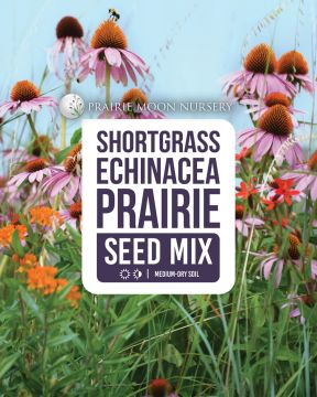 Short & Showy Seed Mix | Prairie Moon Nursery