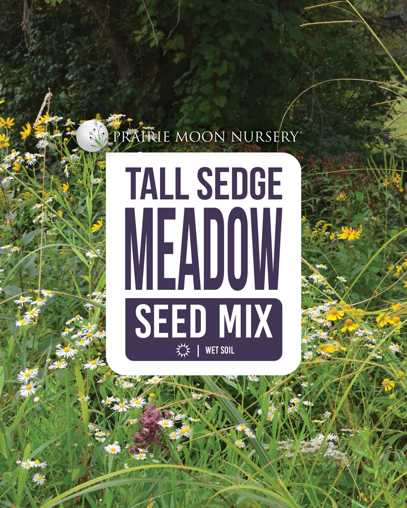 Tall Sedge Meadow Seed Mix | Prairie Moon Nursery