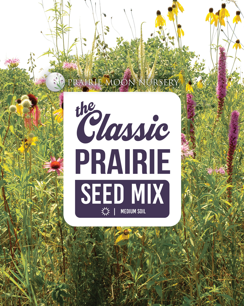 Classic Tallgrass Prairie | Prairie Moon Nursery