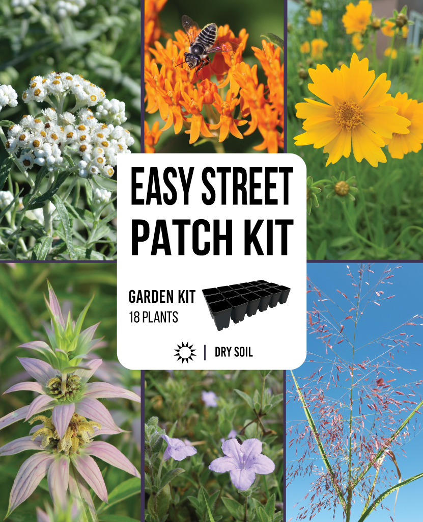 Easy Street Patch Garden Kit | Prairie Moon Nursery