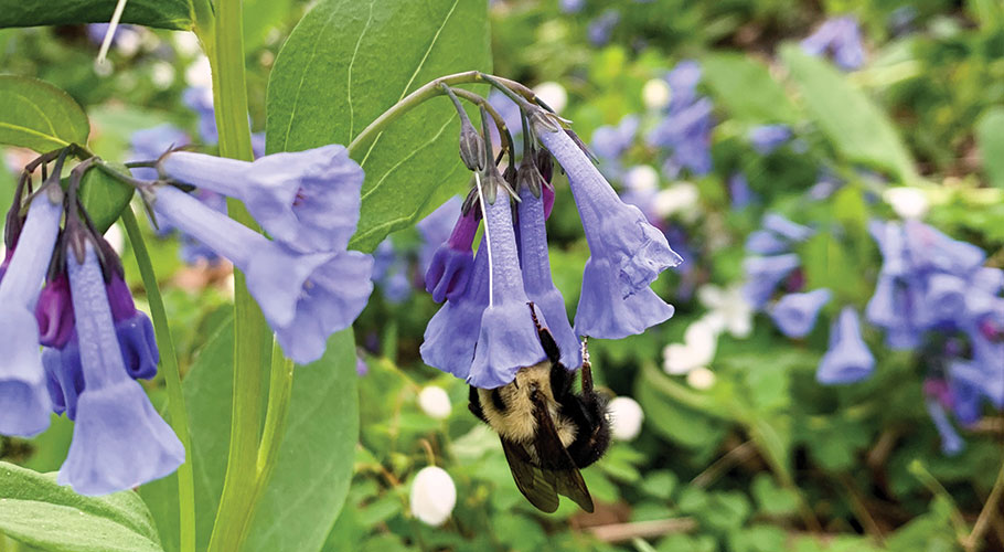 Prairie Moon Nursery: Storefront