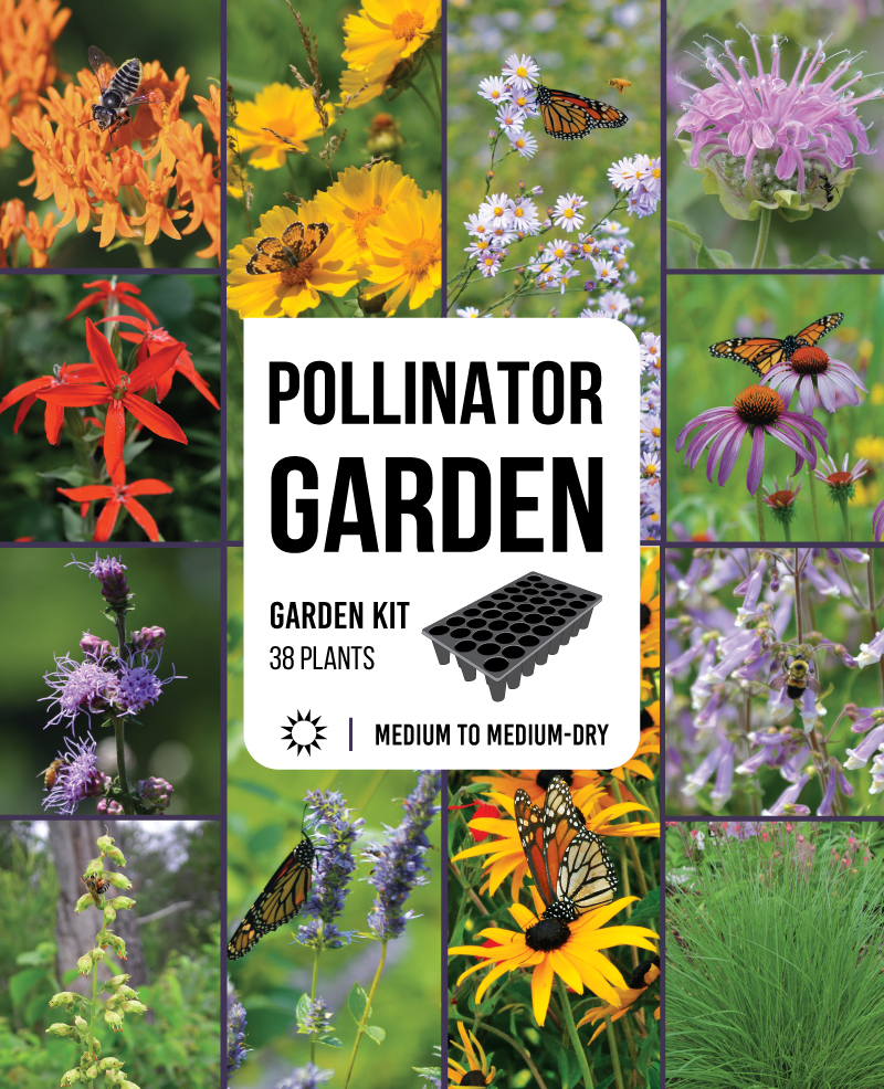 Pollinator Garden Kit | Prairie Moon Nursery