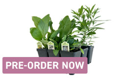 Plants | Prairie Moon Nursery