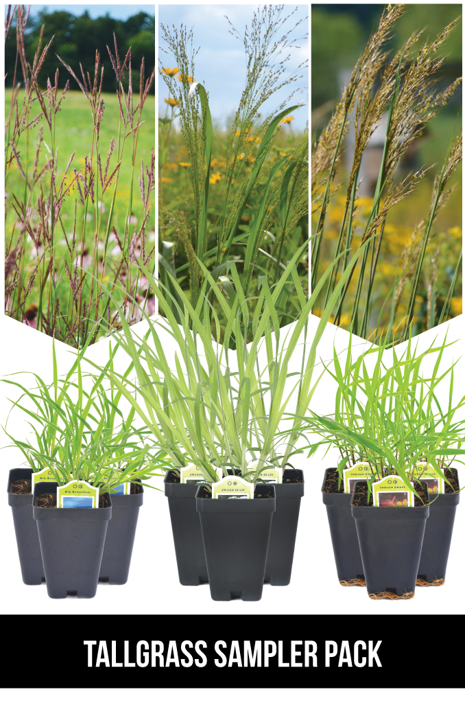 Tallgrass Sampler | Prairie Moon Nursery