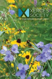 Seed Mixes | Prairie Moon Nursery