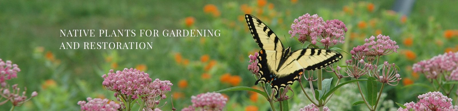 Prairie Moon Nursery