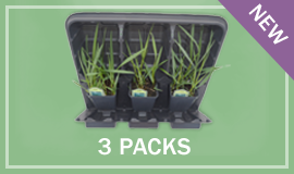 Plants | Prairie Moon Nursery