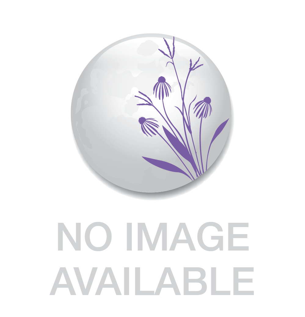 Lespedeza virginica Slender Bush Clover | Prairie Moon Nursery